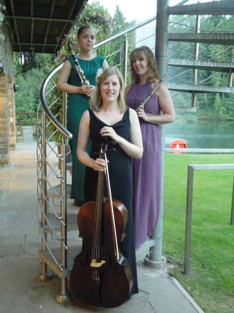 Fiesta Classical Trio - Elegant Classical Trio